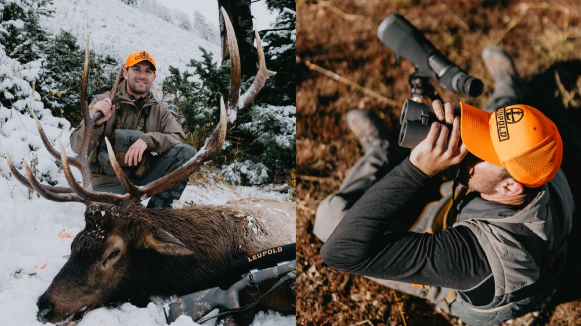 Leupold Custom Dial System: Trajectory Made Simple | An Official ...