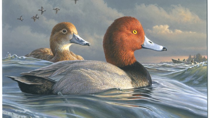 Amazing Hautman Brothers: America's Other Duck Dynasty | NRA Family