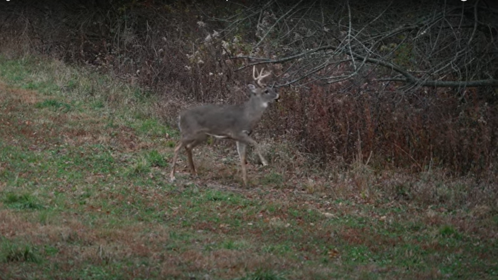 Careers in the Firearms Industry | NRA Family